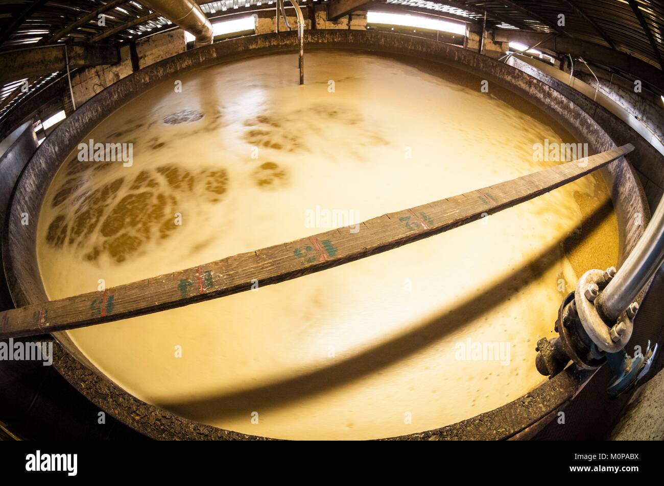 Fermentation tank hi-res stock photography and images - Alamy