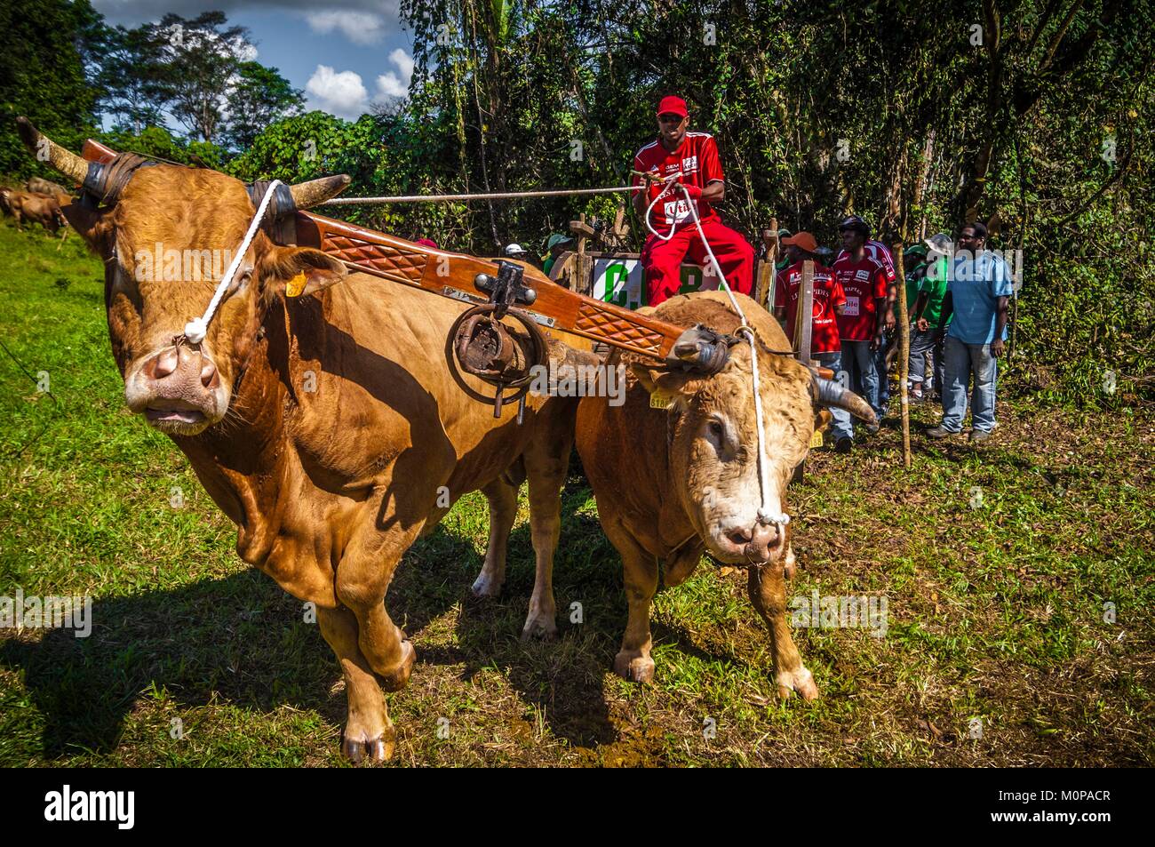 Lamentin guadeloupe hi-res stock photography and images - Alamy