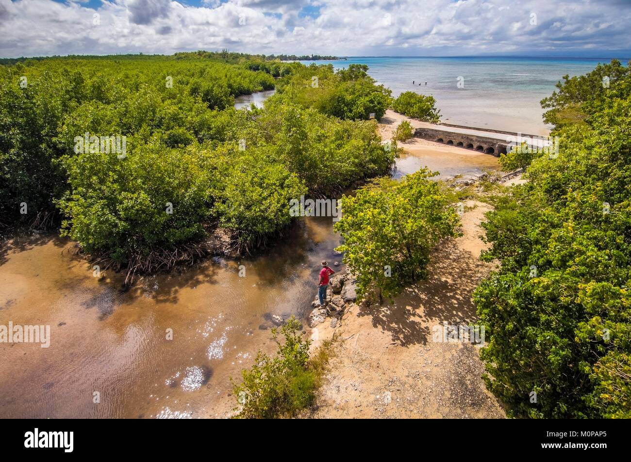 France,Guadeloupe,Grande-Terre,Port-Louis,discovery trail of the ...