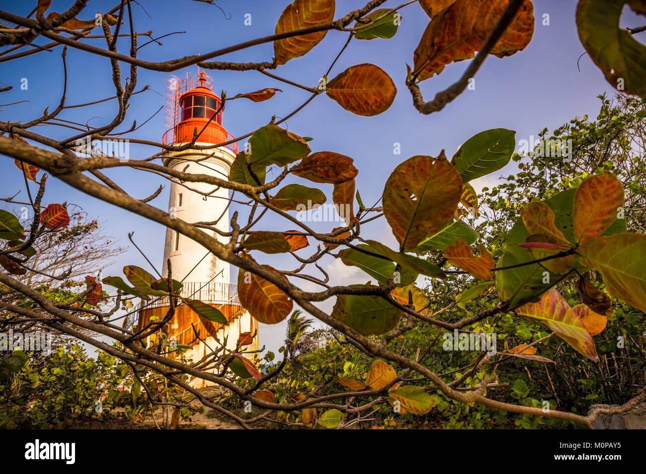 France,Guadeloupe,Grande-Terre,Le Gosier,Petit Cul-de-Sac marin ...