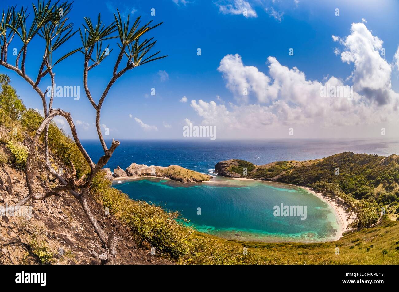 Morne morel hi-res stock photography and images - Alamy