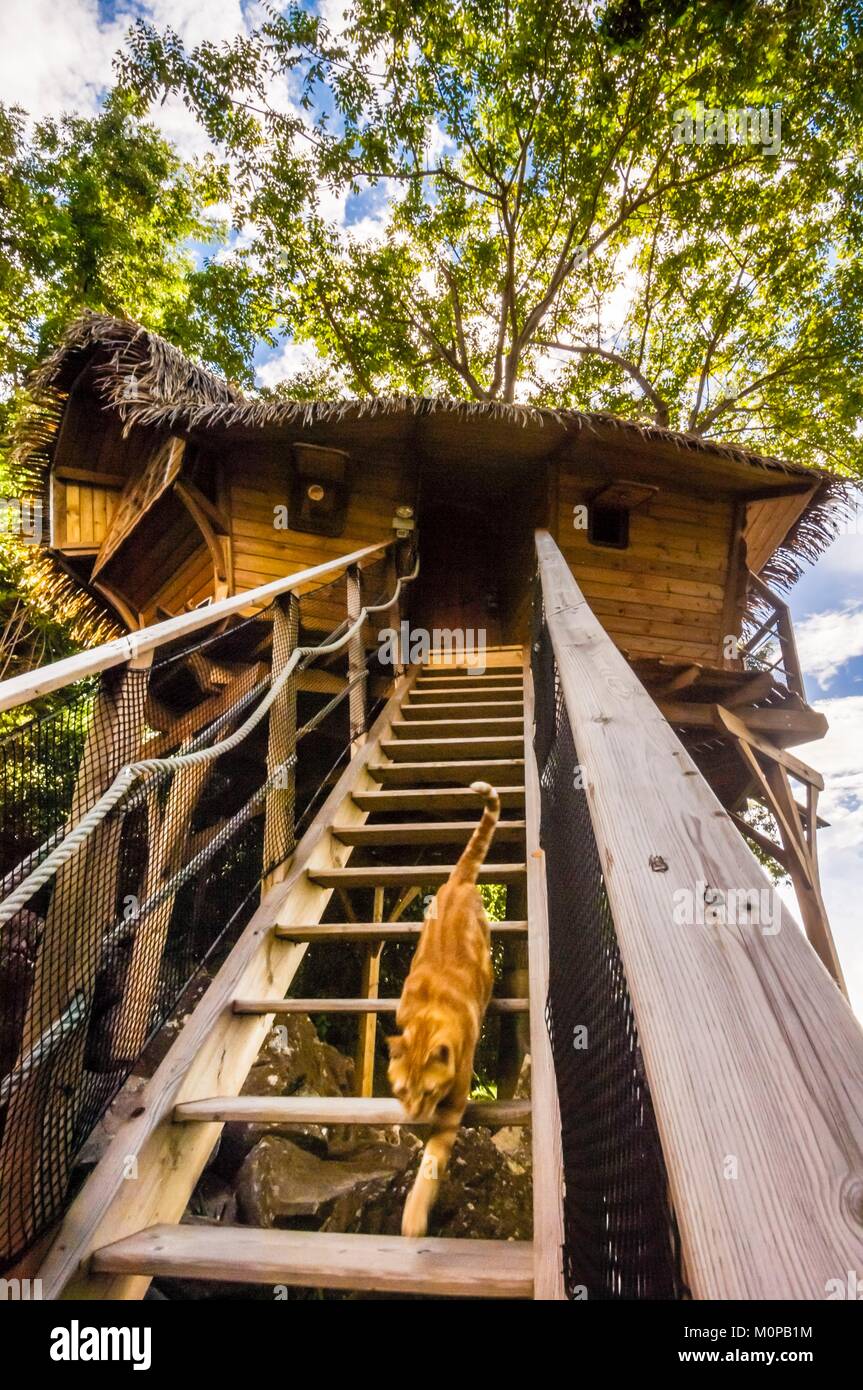 France,Caribbean,Lesser Antilles,Guadeloupe,Basse-Terre,Vieux Habitants ...