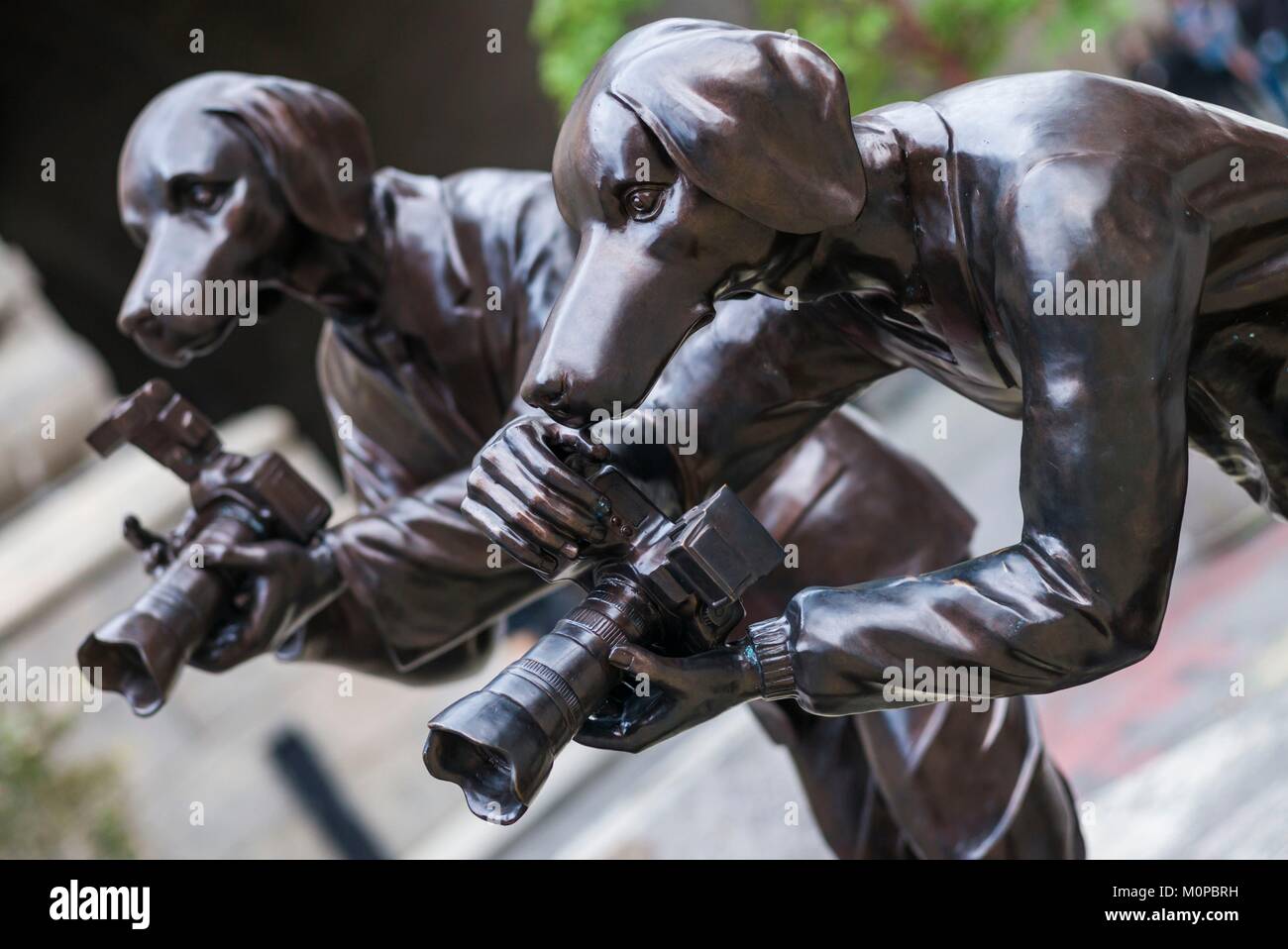 United States,New York,New York City,Brooklyn-Dumbo,Paparazzi Dogs ...