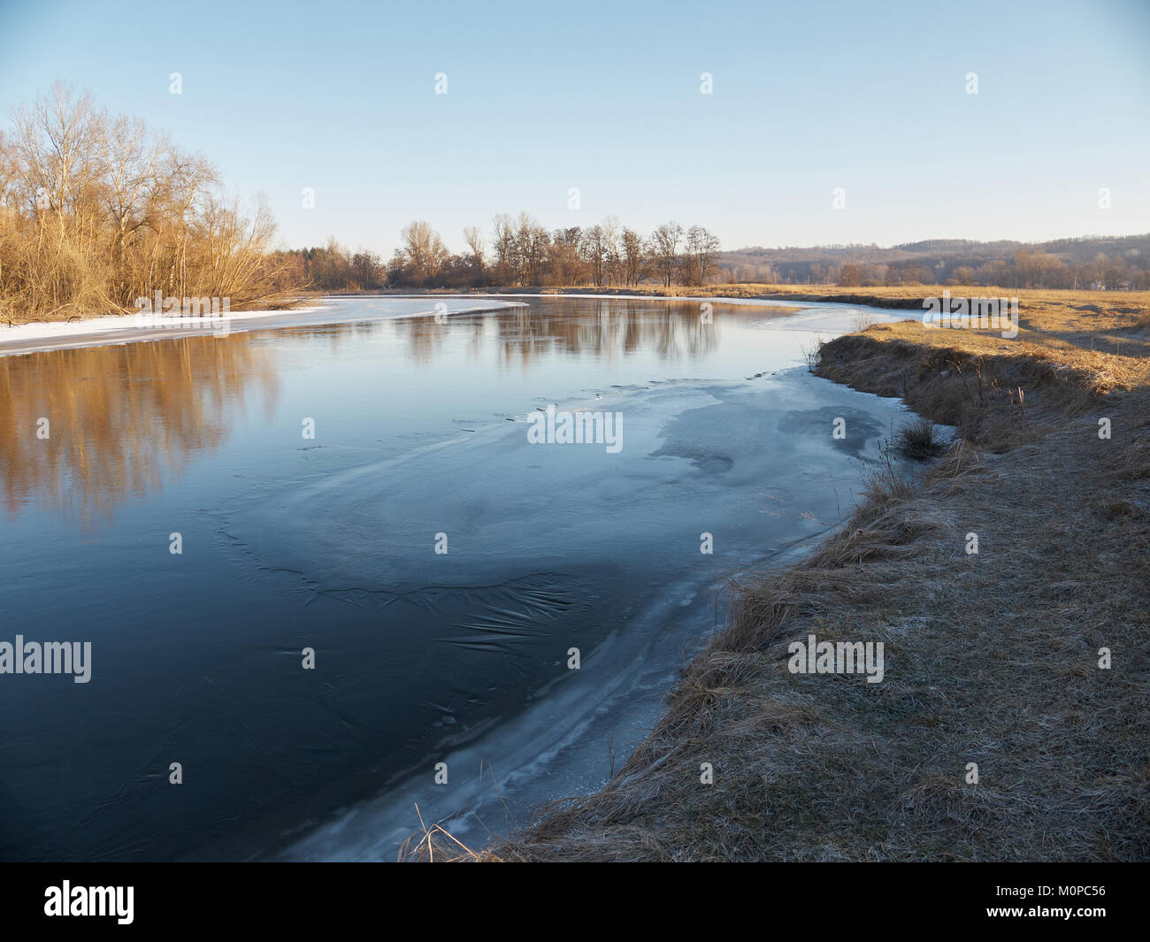 Partially flooded frozen river with steep bank and aphyllous yellow ...
