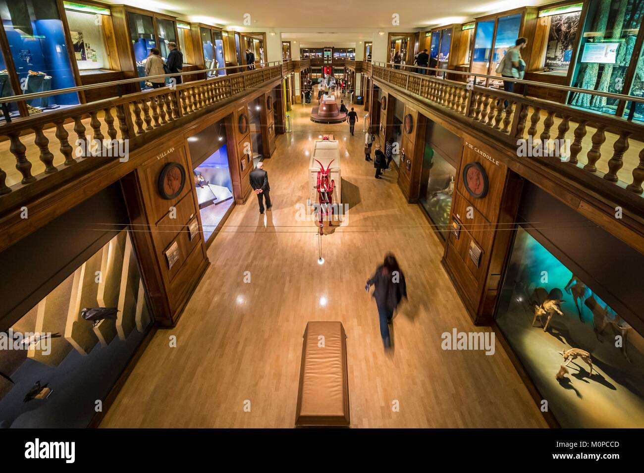 Grenoble museum hi-res stock photography and images - Alamy