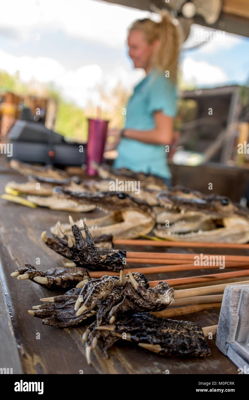 Sawgrass Recreation Park, Florida Everglades, a young woman minds the ...