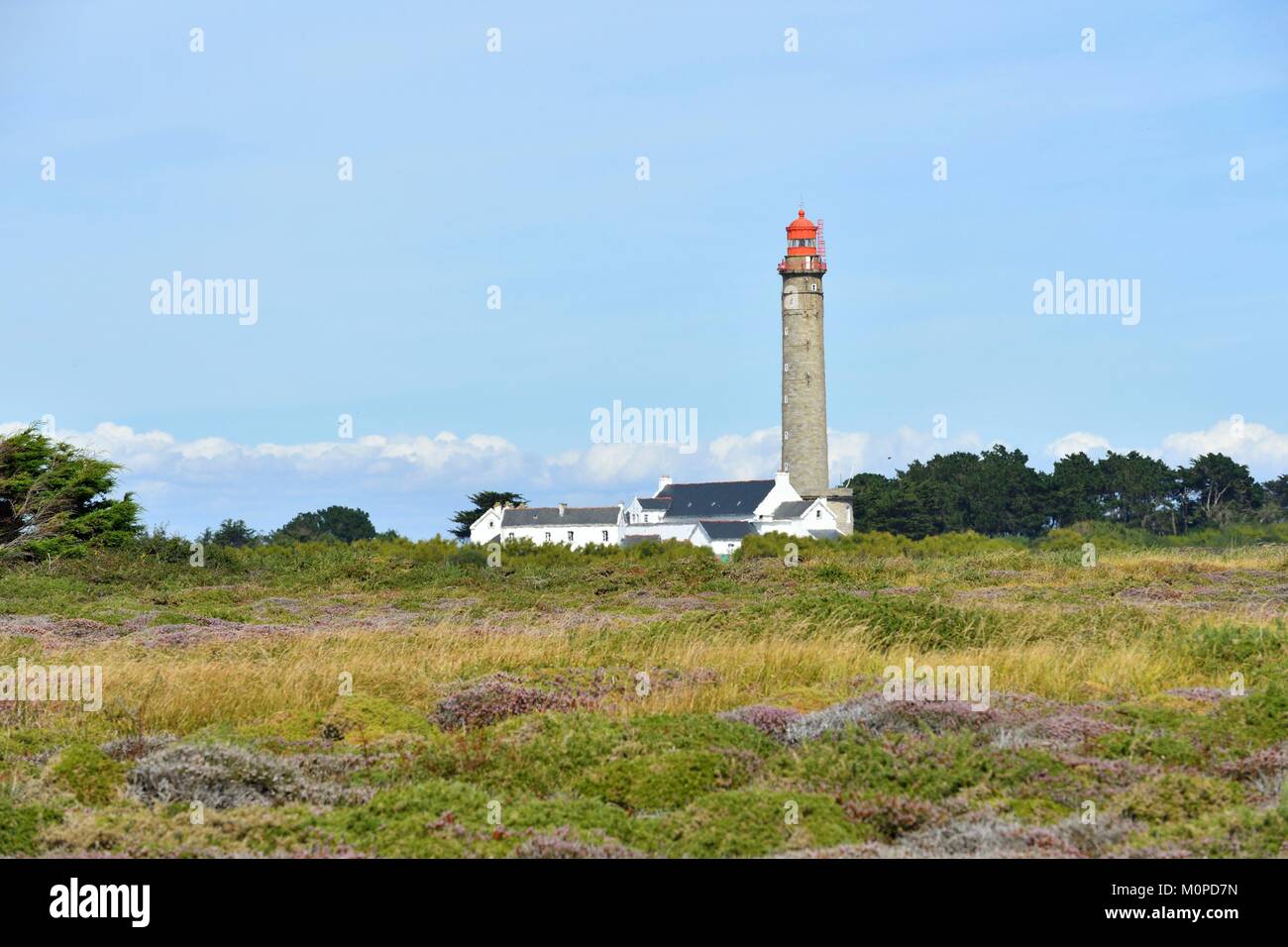 France,Morbihan,Belle Ile en Mer,Kervilahouen,Grand Phare (Big ...