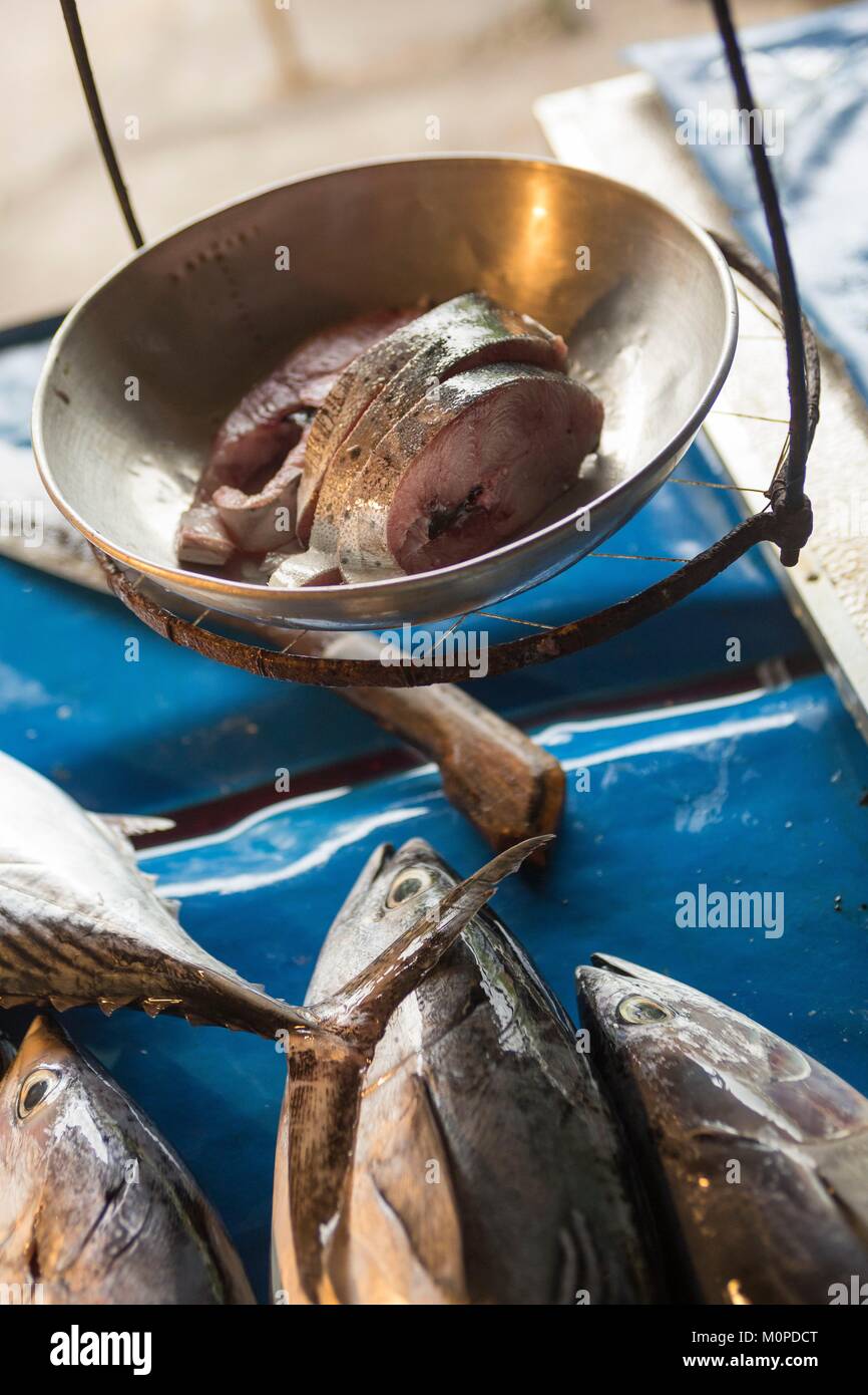 Fish market in philippines hi-res stock photography and images - Alamy