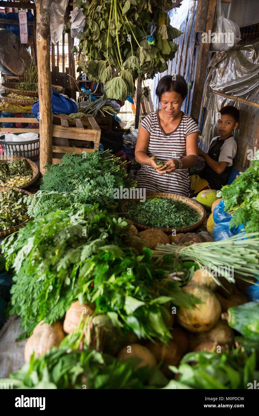 Philippines,Luzon,Albay Province,Tiwi,woman selling vegetables in Tiwi ...