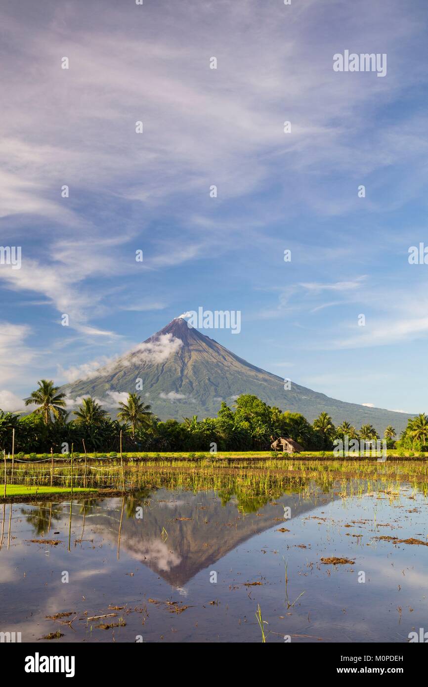 Philippines,Luzon,Albay Province,Tabaco,Mayon Volcano Stock Photo - Alamy