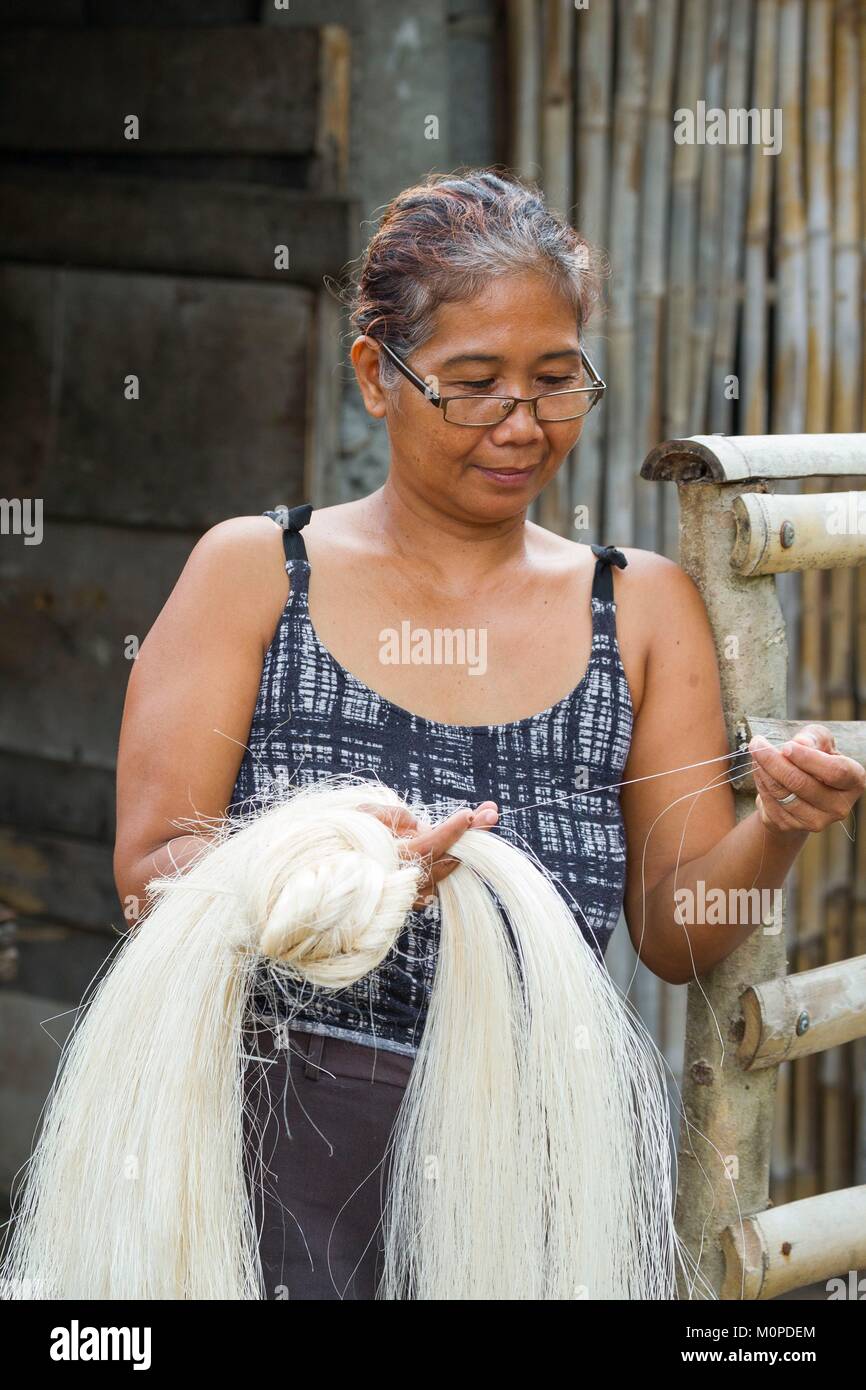 Philippines,Luzon,Albay Province,Tiwi,Matalibong,woman sorting abaca ...