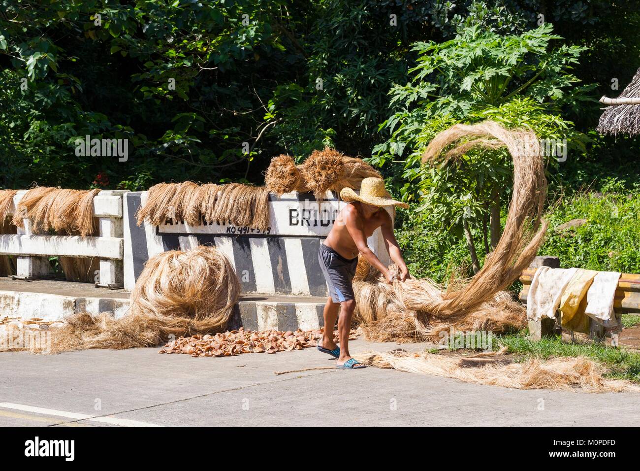 Philippines,Luzon,Camarines Sur Province,Sagnay,man drying abaca fiber ...