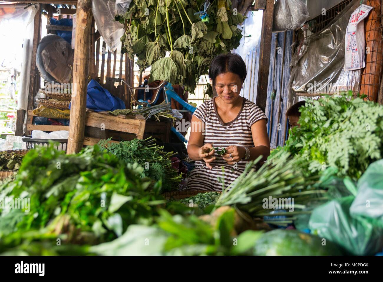 Philippines,Luzon,Albay Province,Tiwi,woman selling vegetables in Tiwi ...