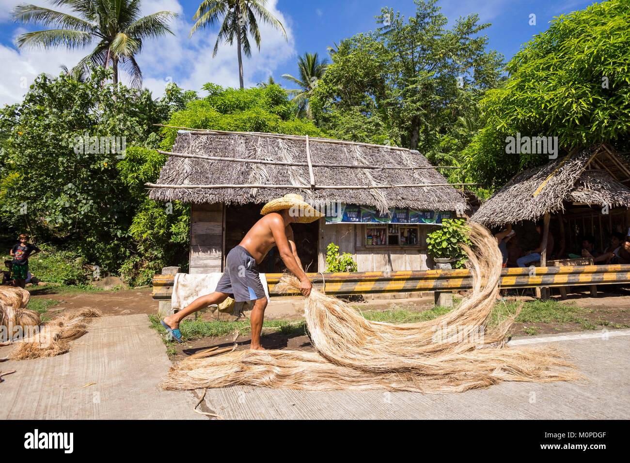 Philippines,Luzon,Camarines Sur Province,Sagnay,man drying abaca fiber ...