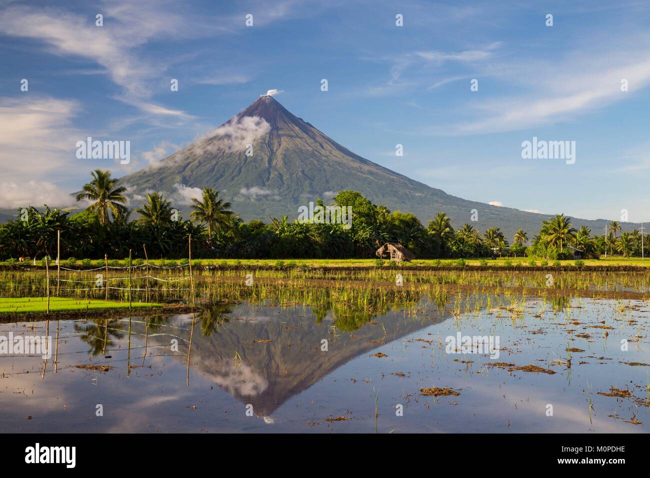 Mayon volcano hi-res stock photography and images - Alamy