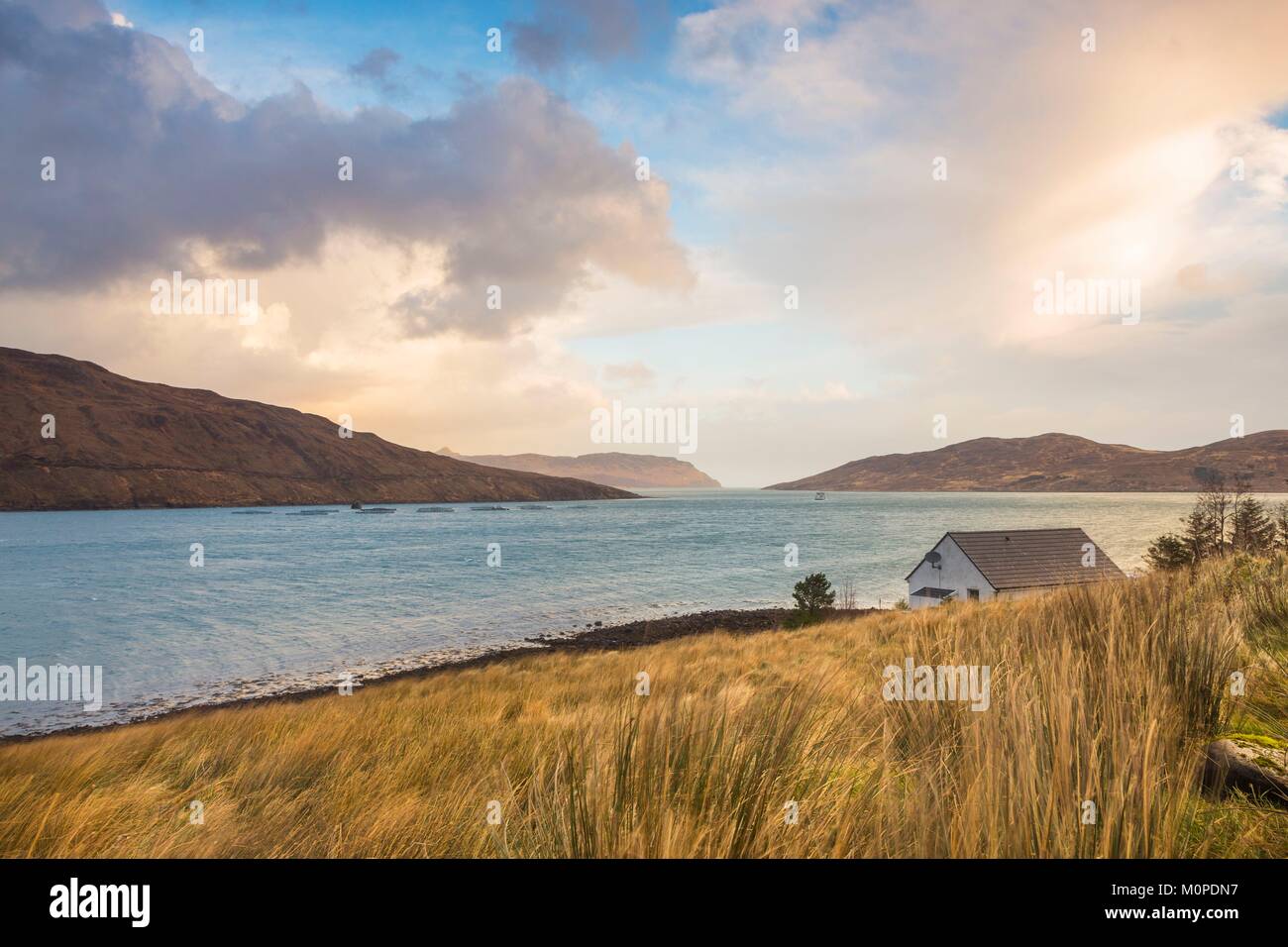 United Kingdom,Scotland,Highlands,Inner Hebrides,Isle of Sky,house next ...