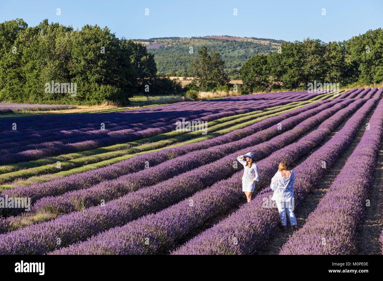 France,Alpes de Haute Provence,Revest du Bion,striking tourist the pose ...