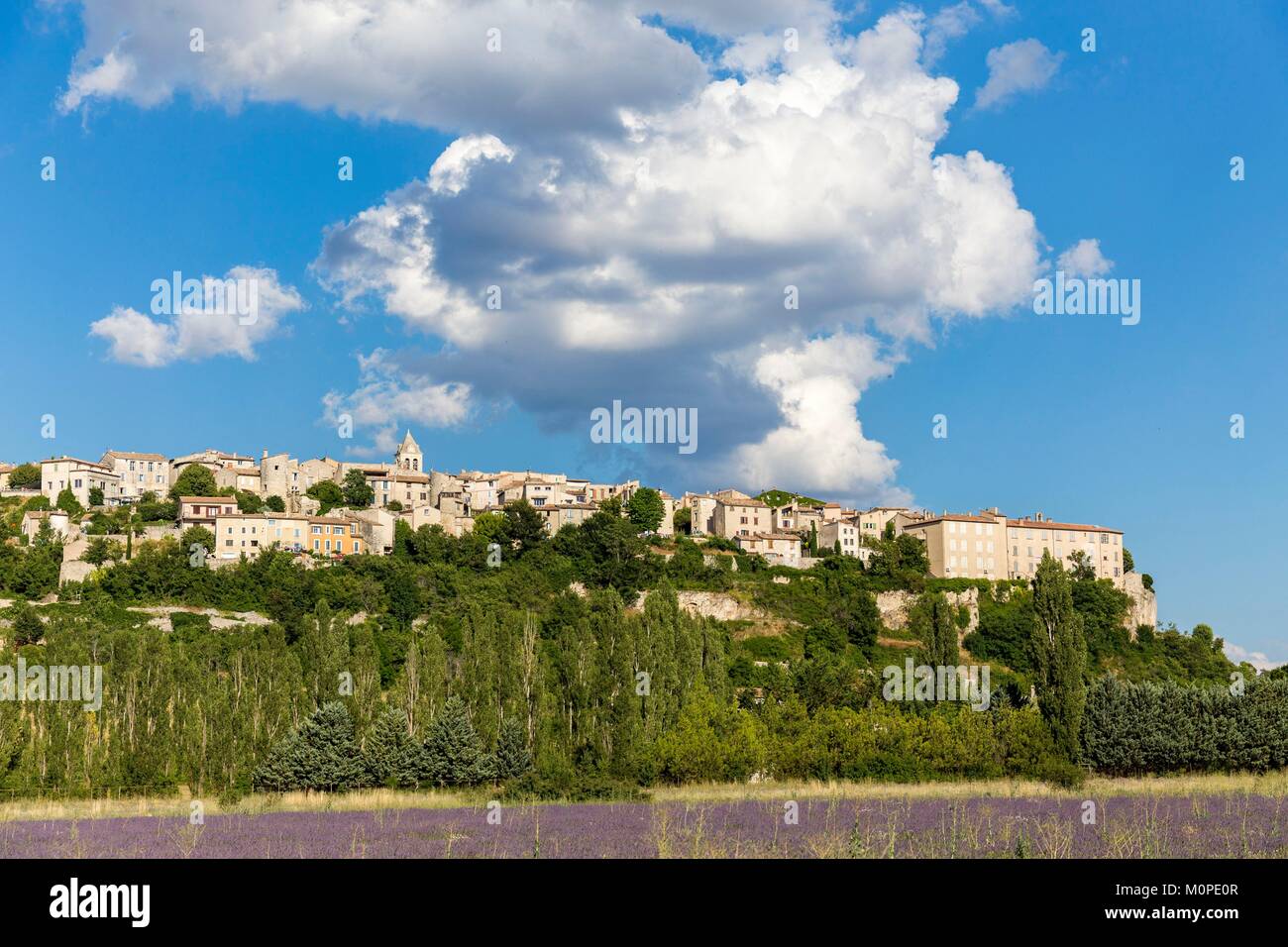 France,Vaucluse,Sault,the village and its historic center Stock Photo ...