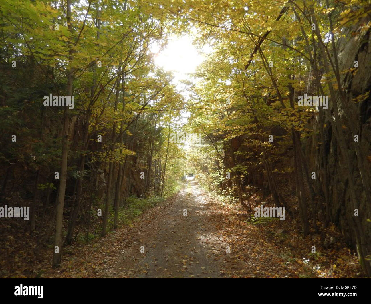The Cataraqui Trail, located east of Chaffey’s Lock in Canada, offers a ...