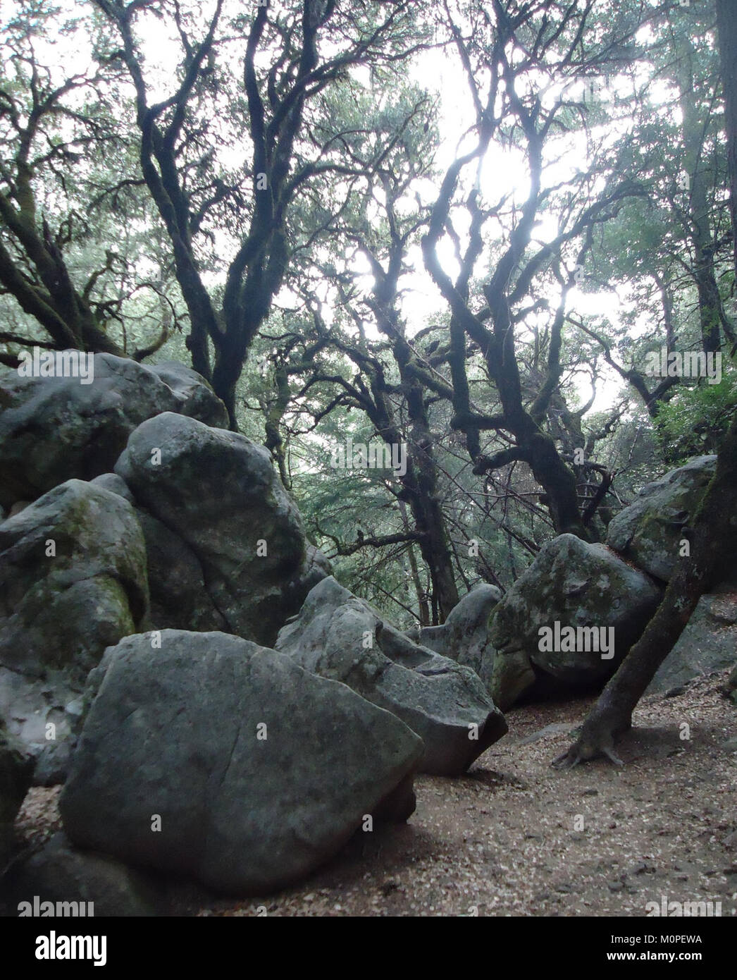 Castle Rock State Park in California with rocks and trees and sky Stock ...