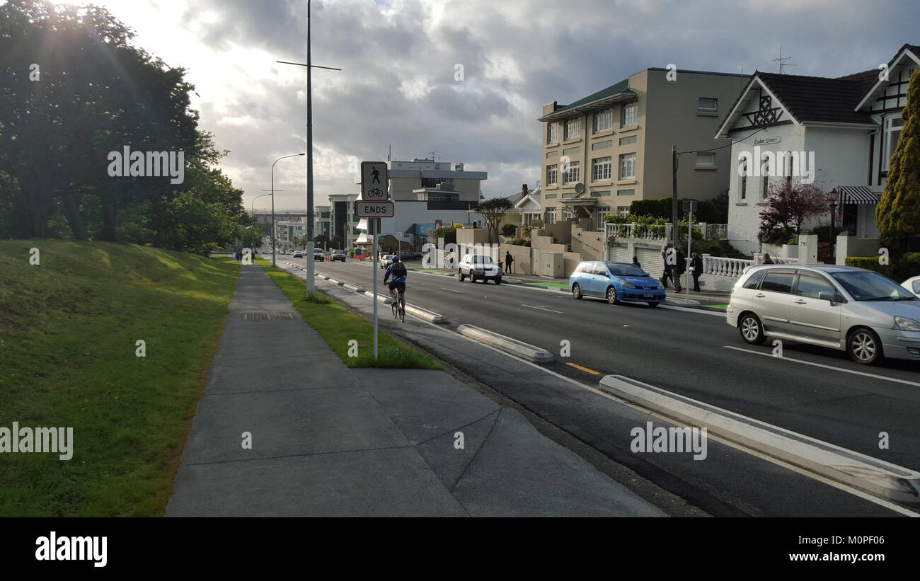 Photograph of the protected bicycle lanes along Carlton Gore Road ...