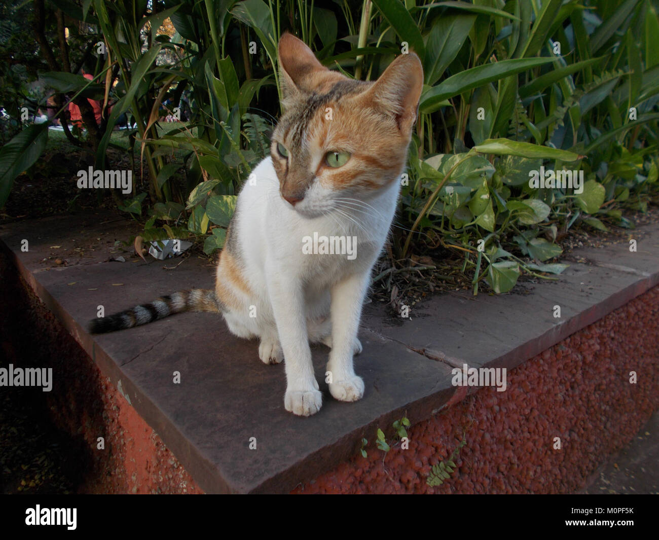 Iconic landmarks mumbai hi-res stock photography and images - Alamy