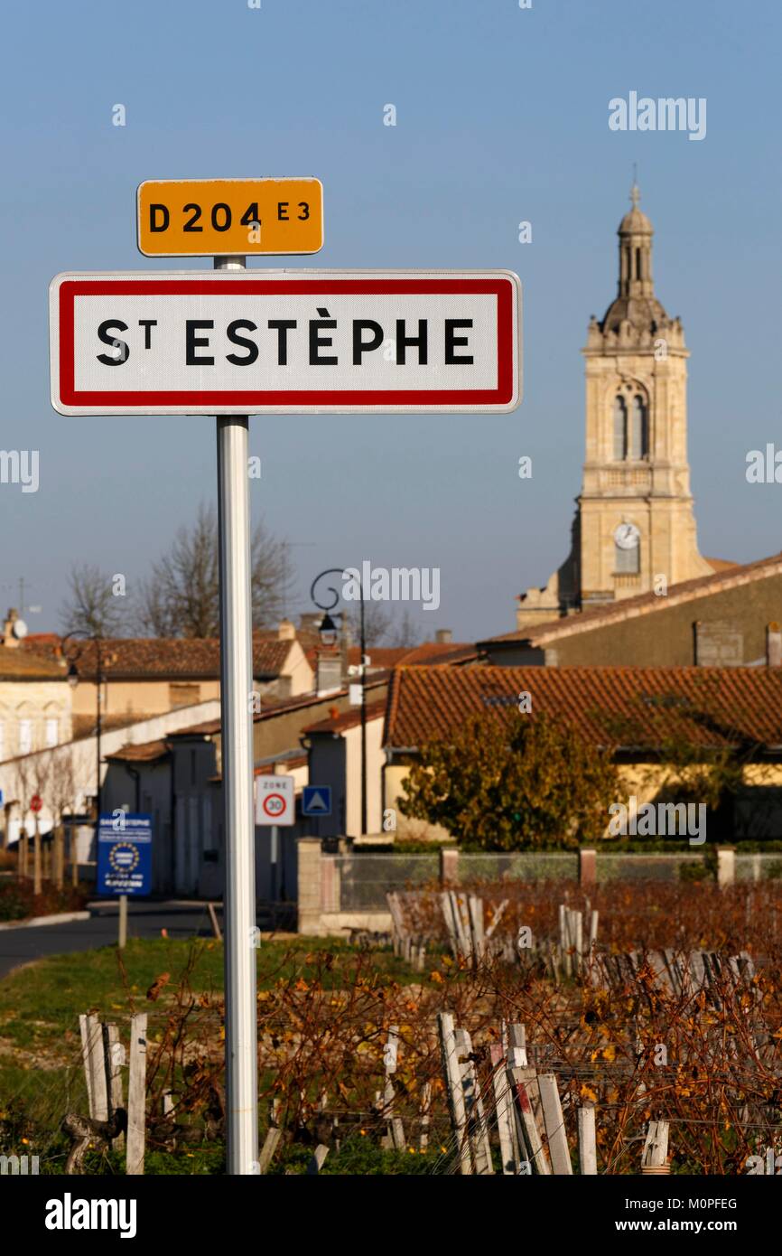 France,Gironde,Saint Estephe,the vineyards of Médoc,AOC Saint Estephe ...