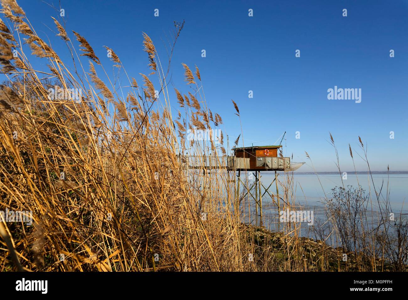 France,Gironde,Saint Estephe,fishing hut with plaice on the estuary of ...
