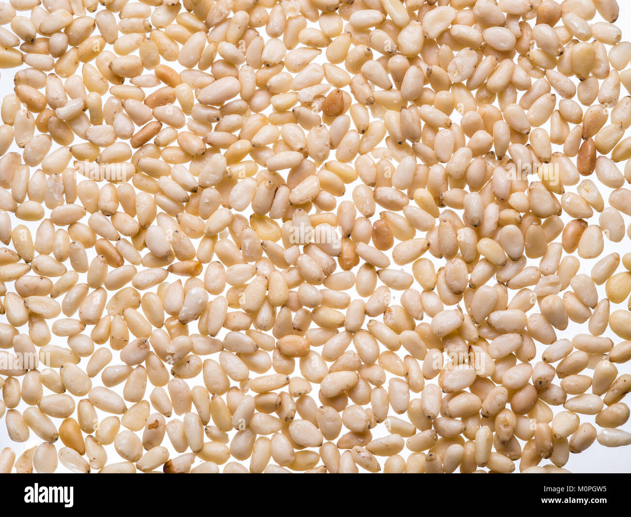 Seeds of pines or pine nuts on the white background Stock Photo - Alamy