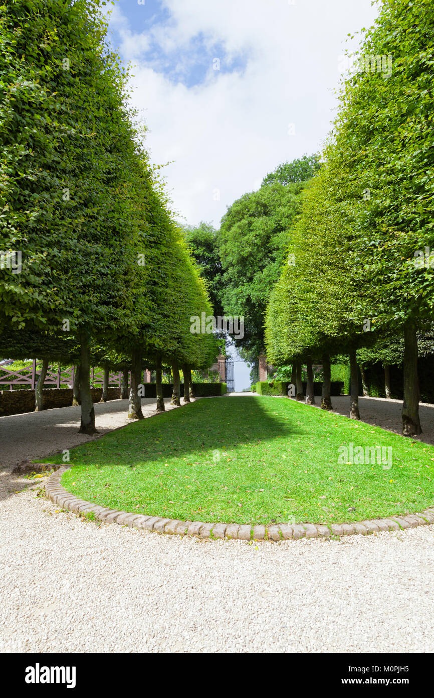 Lush green leafy trees hi-res stock photography and images - Alamy