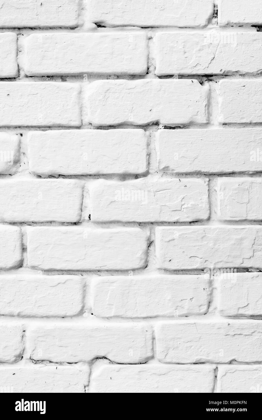 White brick wall with rich texture and insects on it, whitewashed by ...