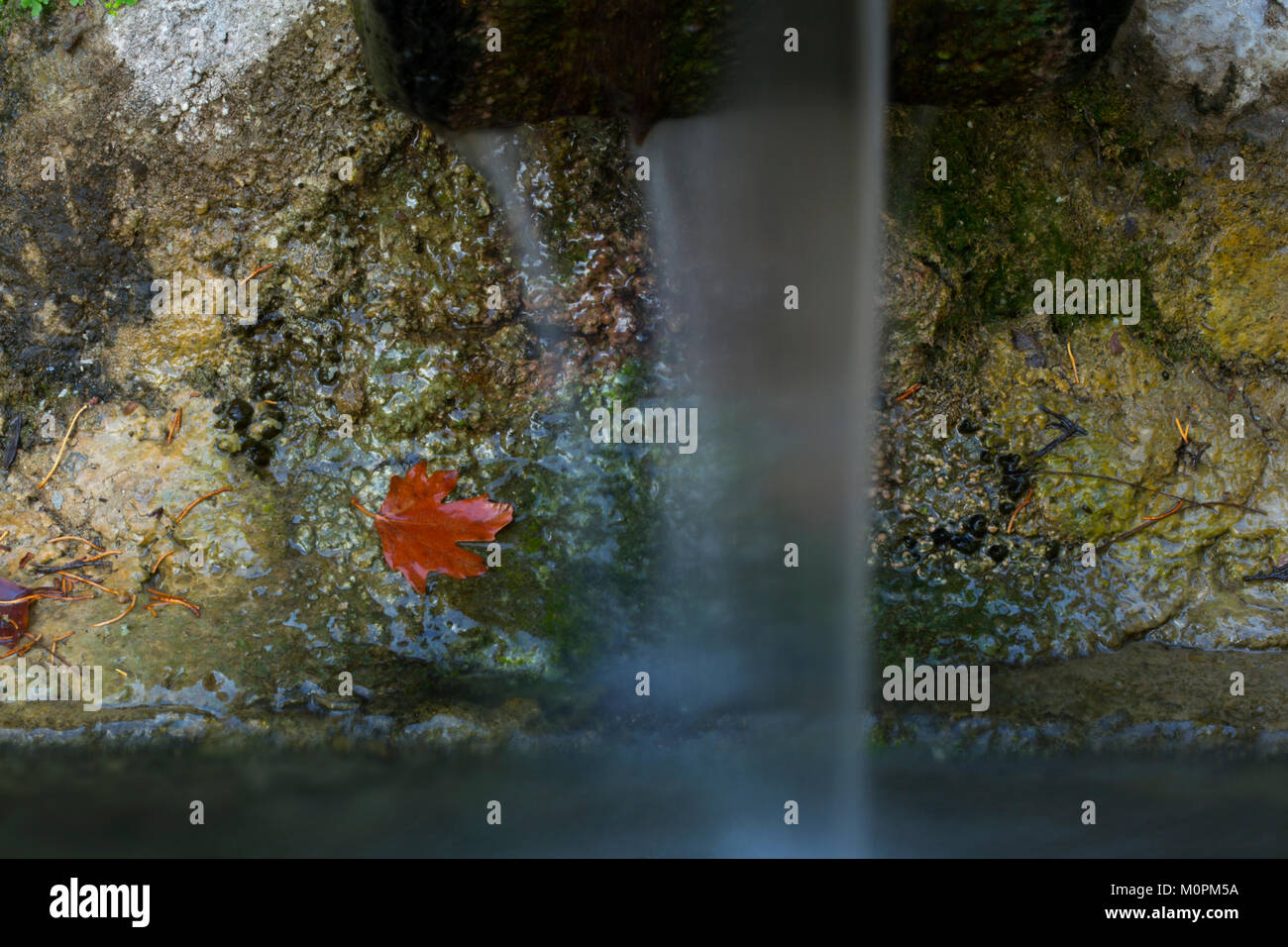 Water source in Samaria Gorge Stock Photo - Alamy