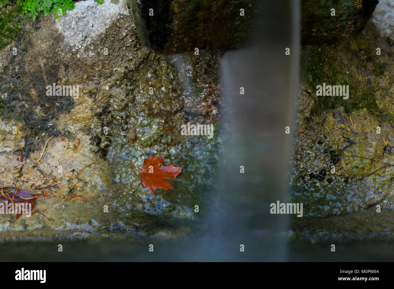 Water source in Samaria Gorge Stock Photo - Alamy