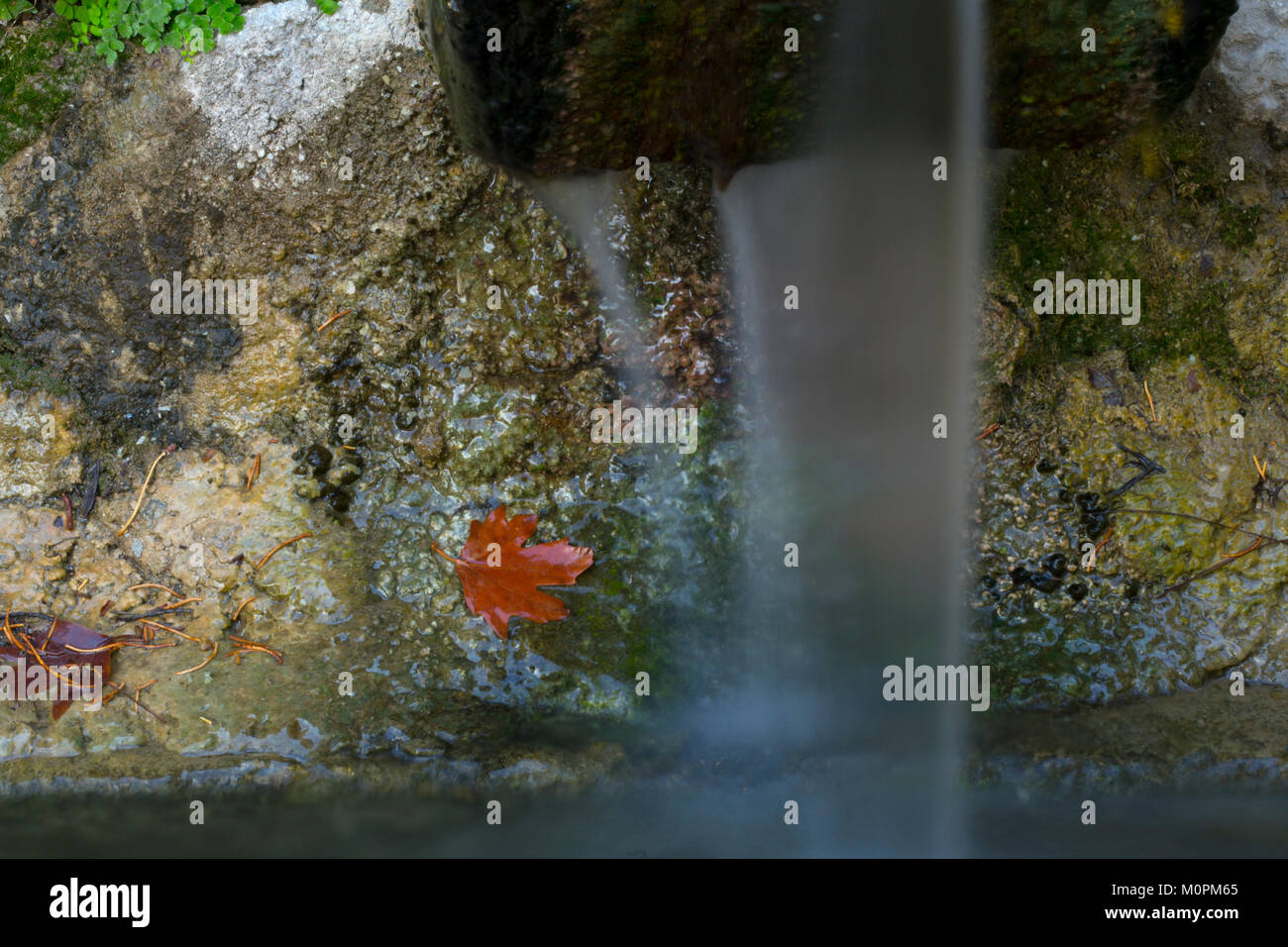 Water source in Samaria Gorge Stock Photo - Alamy