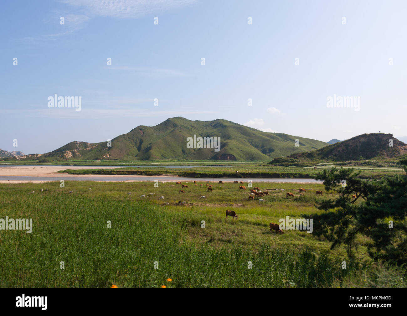 Kangwon land hi-res stock photography and images - Alamy