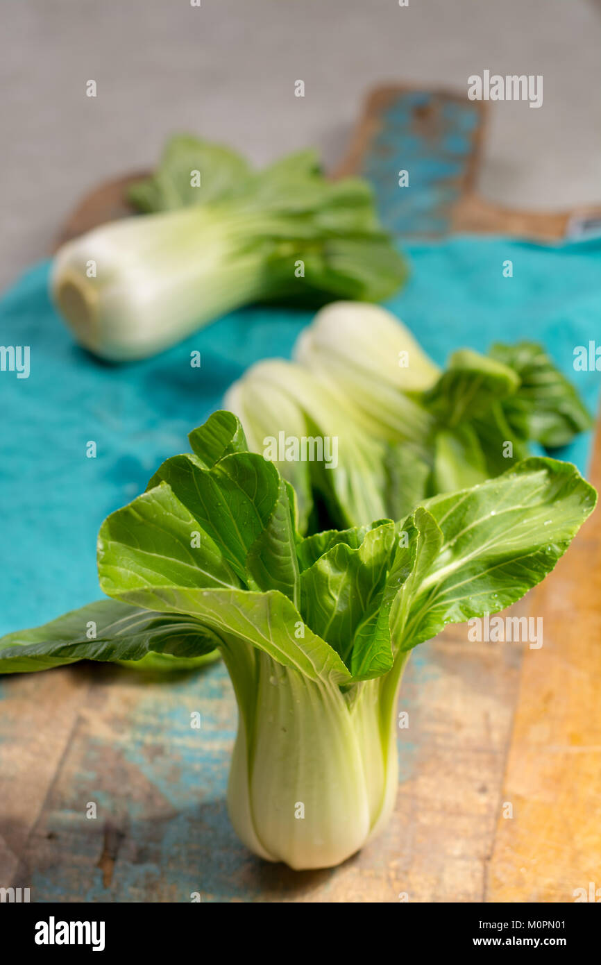 Fresh raw baby Bok choy or pak choi Chinese cabbage close up Stock ...
