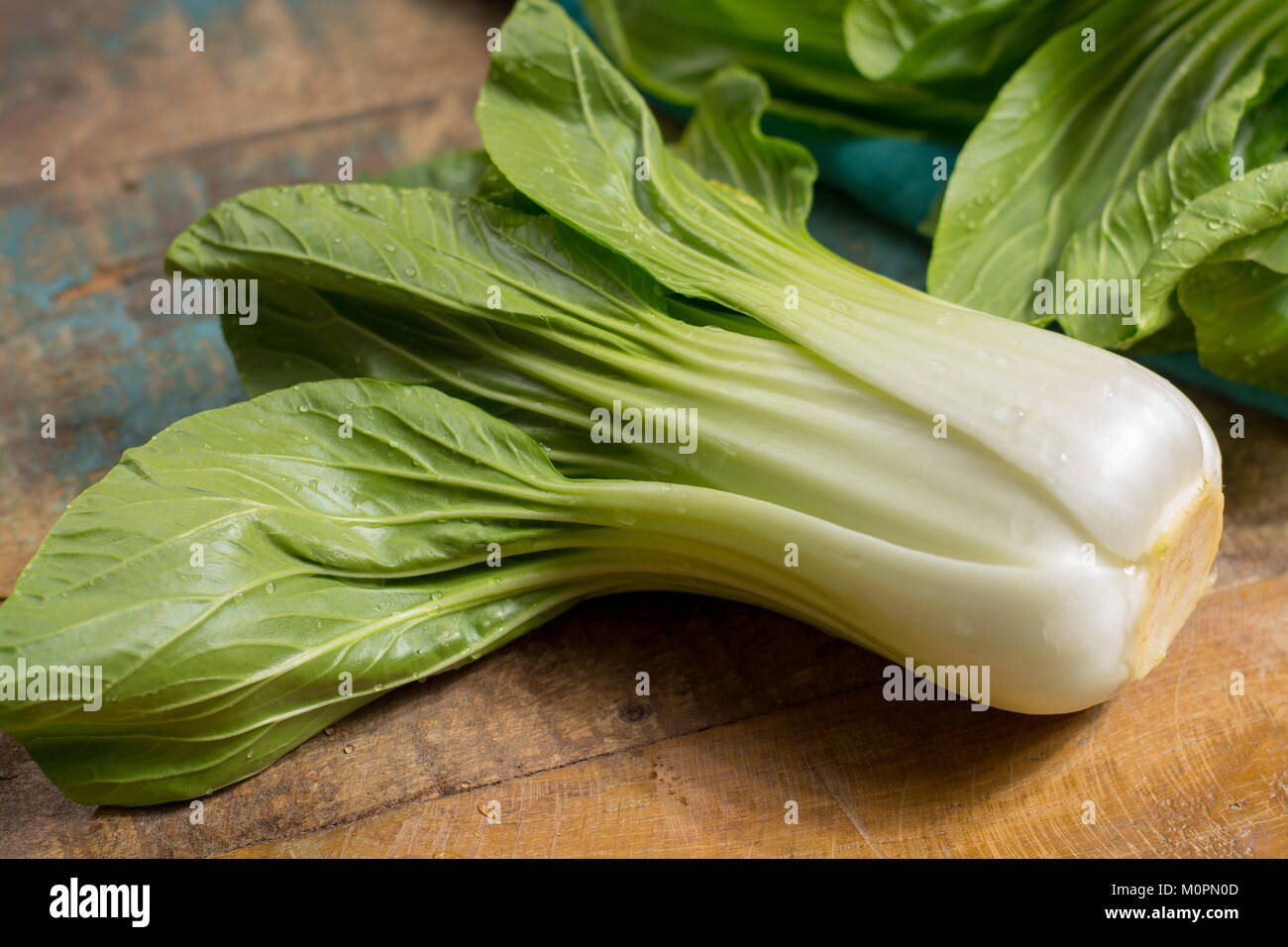 Fresh raw baby Bok choy or pak choi Chinese cabbage close up Stock ...