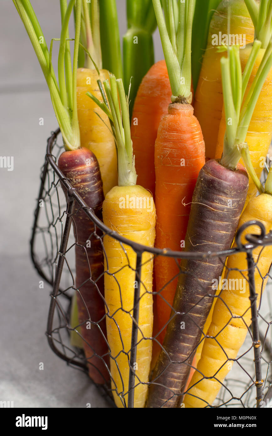 Colorful fresh raw purple, yellow and orange carrots roots Stock Photo ...