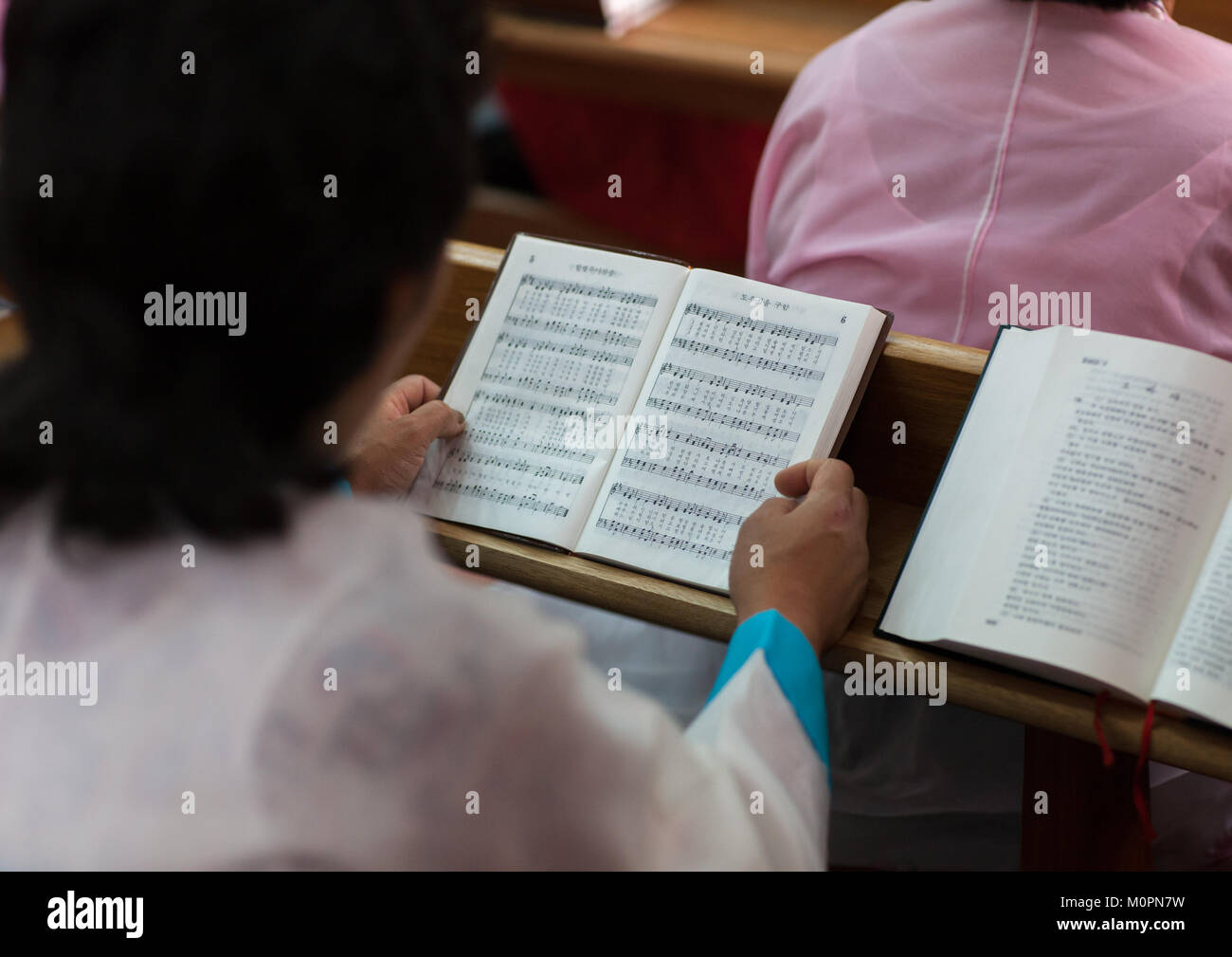 North Korean worshiper reading the bible during a sunday mass in ...