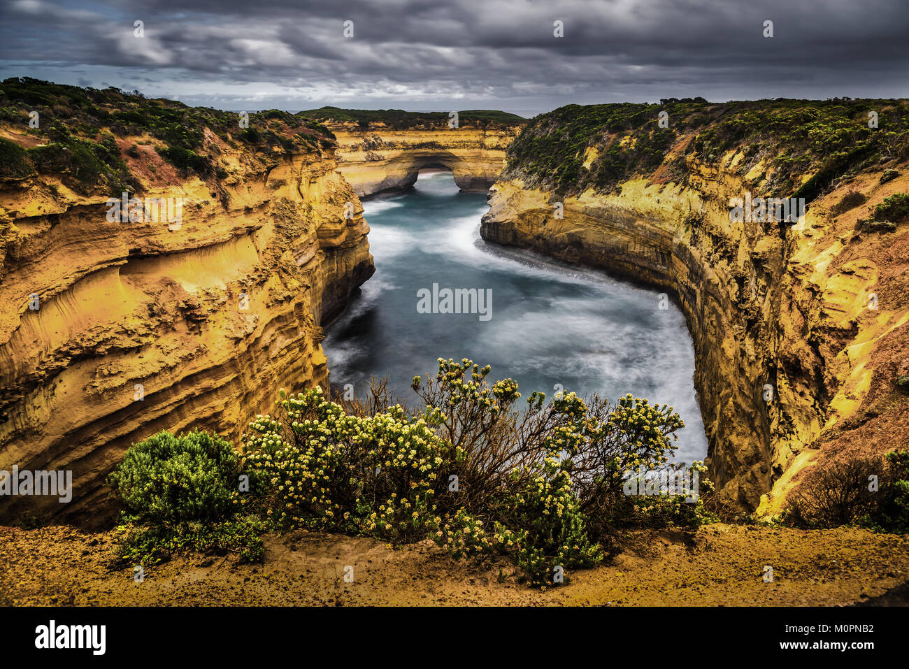 Muttonbird island hi-res stock photography and images - Alamy