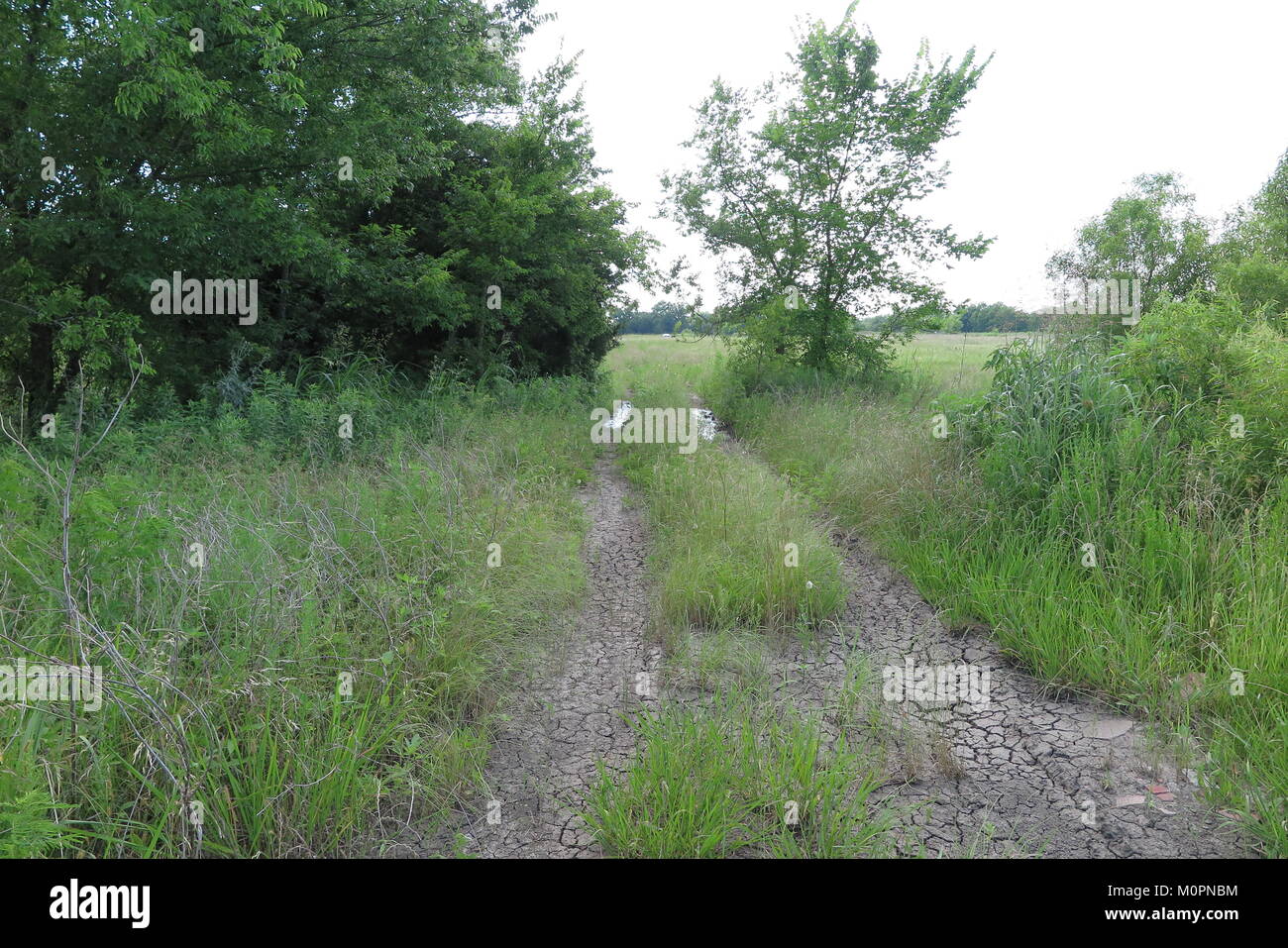 Old Dirt Road Stock Photo - Alamy