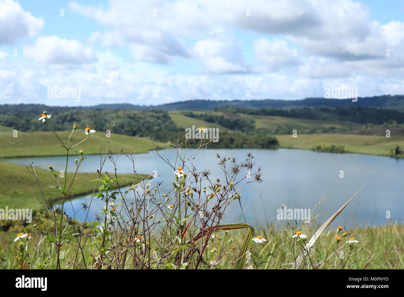 Danau Love (Lake Love) in Papua Stock Photo - Alamy