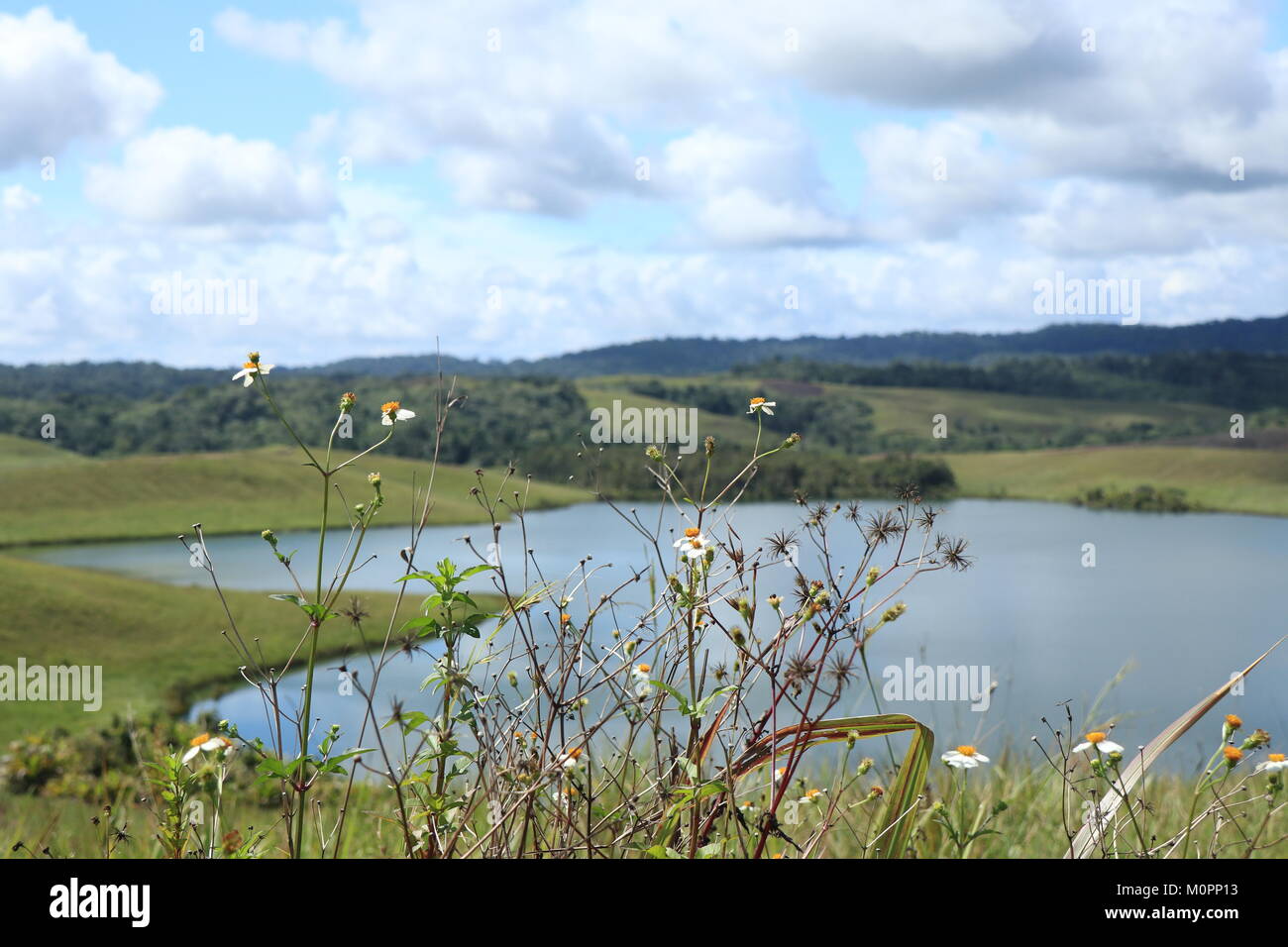 Danau Love (Lake Love) in Papua Stock Photo - Alamy