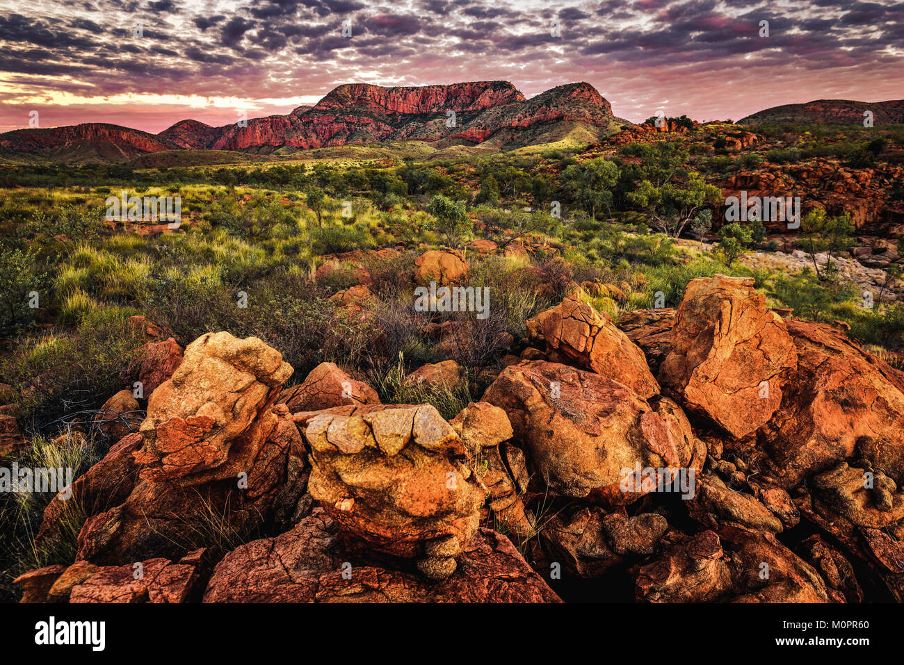 Macdonnell ranges hi-res stock photography and images - Alamy