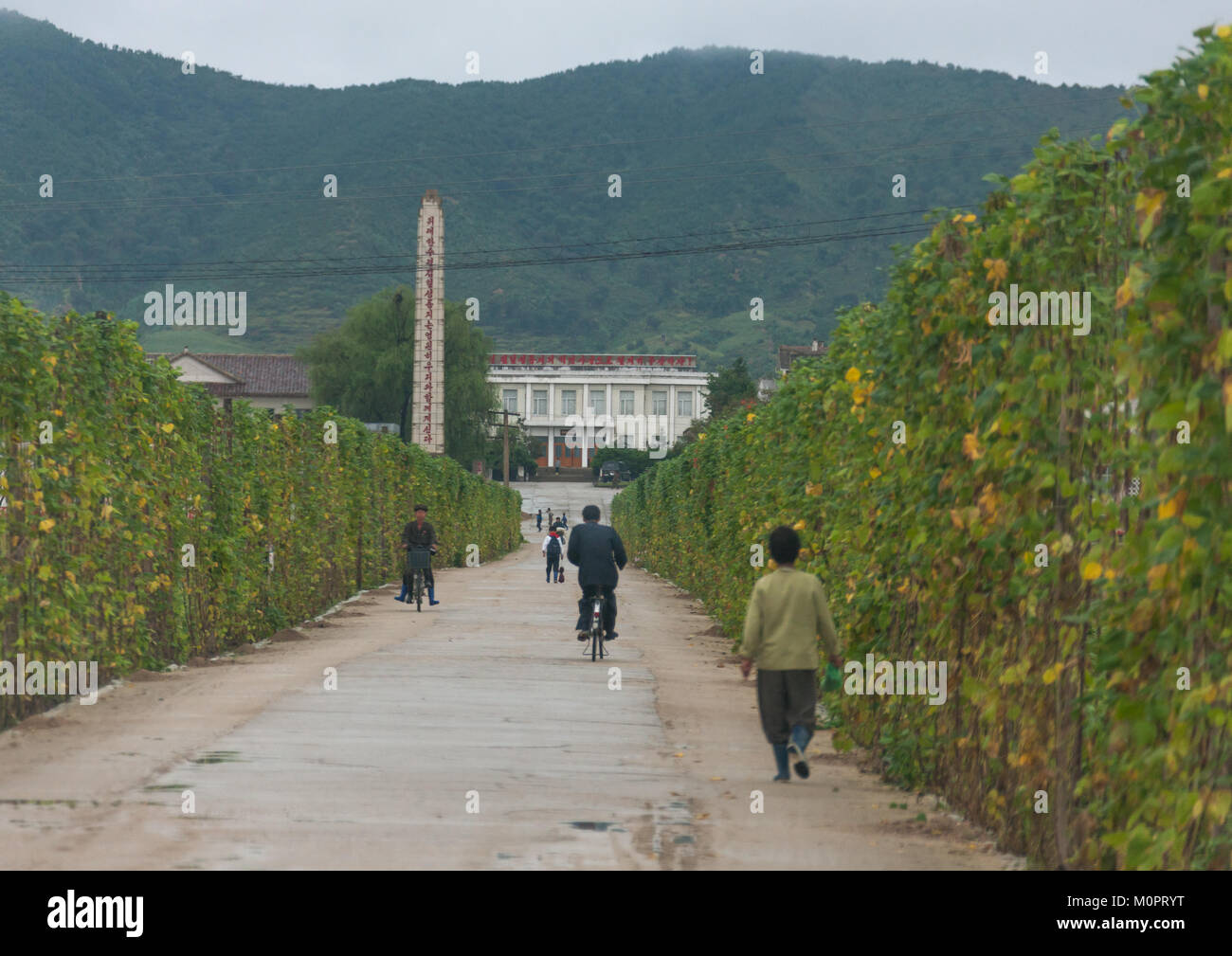 North Korean farm in the countryside, South Hamgyong Province, Hamhung ...