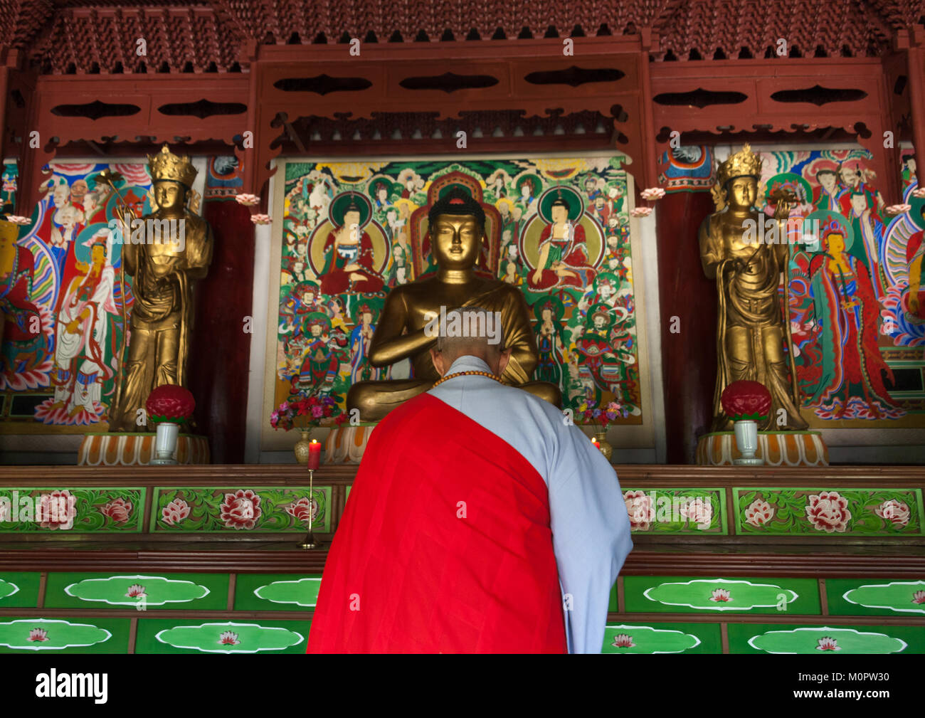 Rear view of a North Korean monk praying in Pohyon-sa Korean buddhist ...