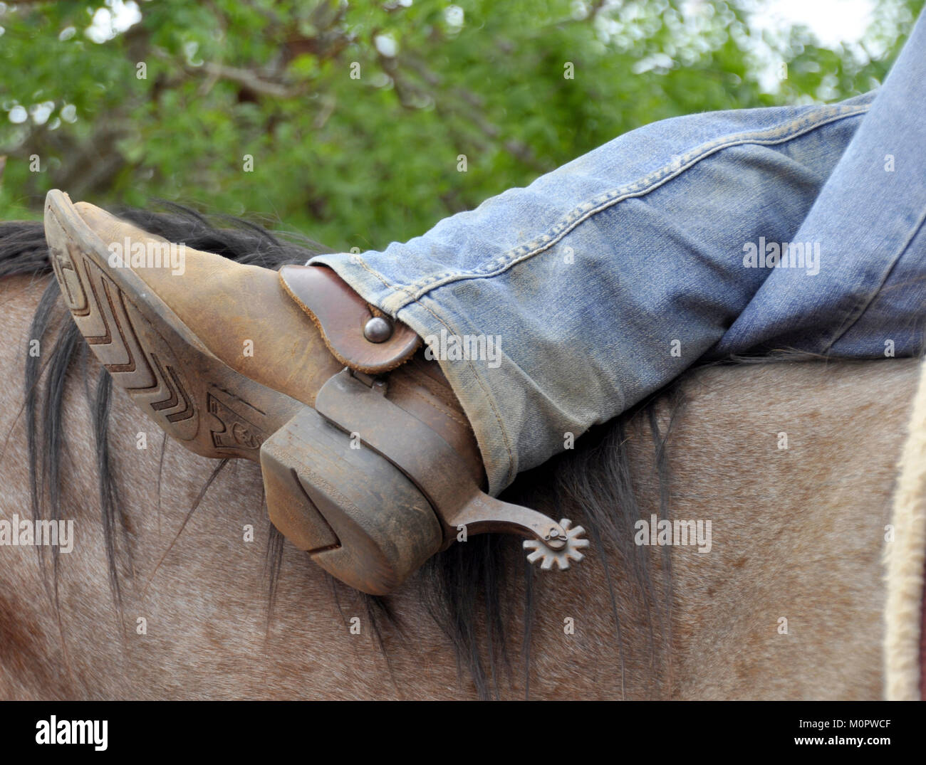 AUSTRALIAN OUTBACK BUSH CULTURE Stock Photo - Alamy