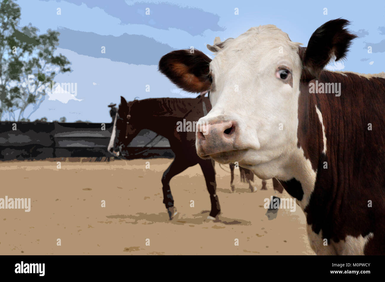 AUSTRALIAN OUTBACK BUSH CULTURE Stock Photo - Alamy