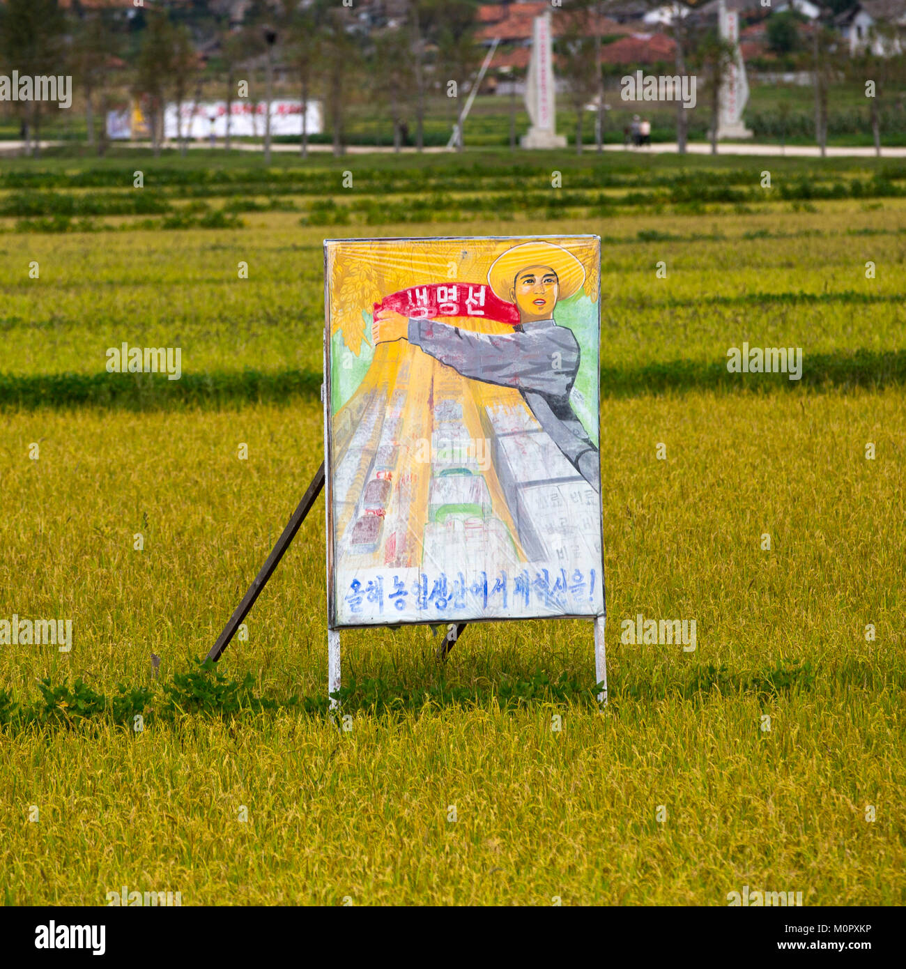 Propaganda billboard in a rice field depicting a farmer, South Hamgyong ...