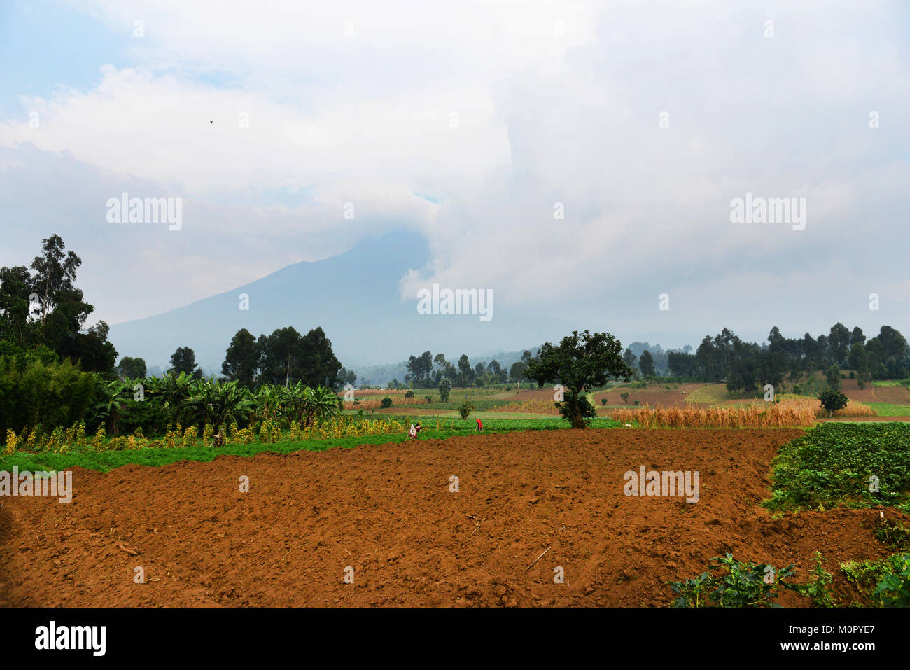 Farmland in eastern Congo Stock Photo - Alamy
